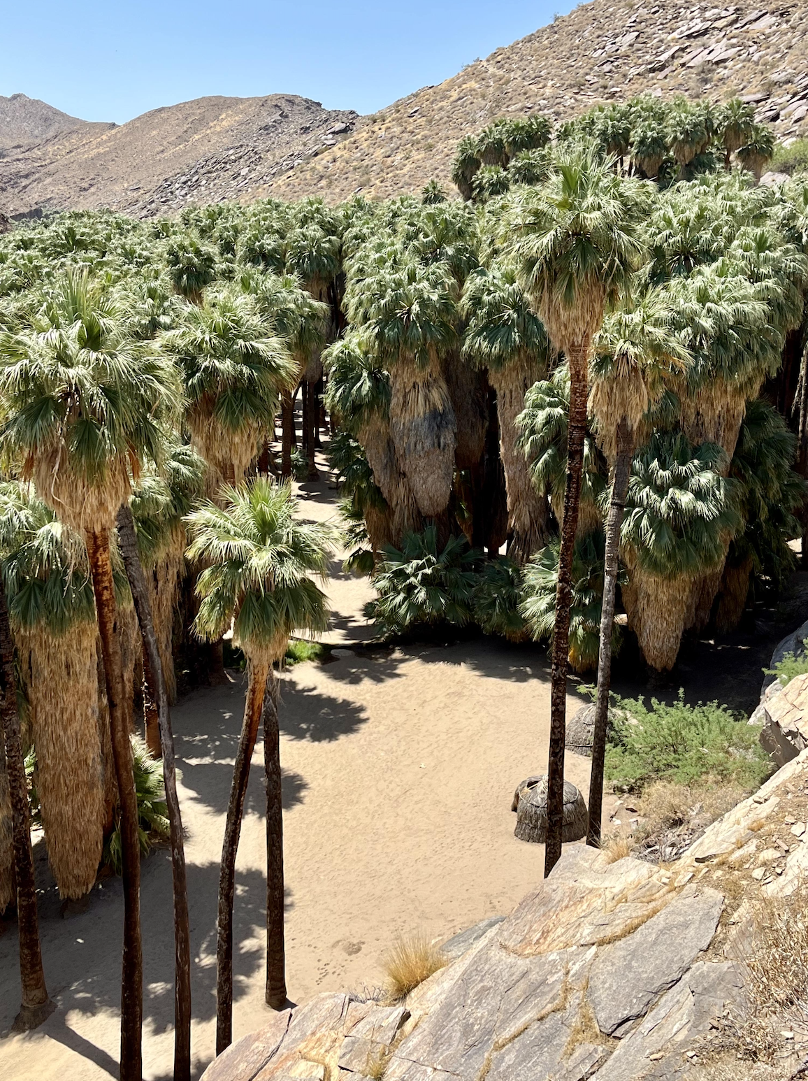 A Guide To Visiting Indigenous Communities: Authentic Experiences ...